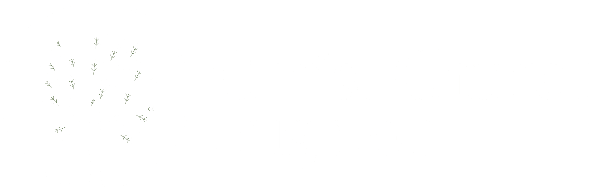 About Us - Christ Church Aughton